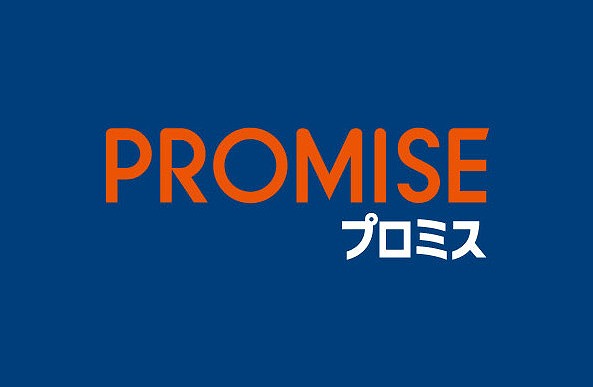 プロミスに源泉徴収票を提出したら… | しおうの借金自力完済生活